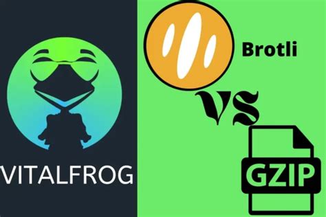 Brotli Vs Gzip Which Of These Will Make Your Website Faster