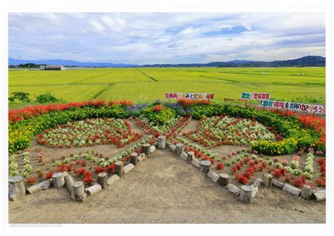 長科地域水土里保全隊 青森県多面的機能支払推進協議会
