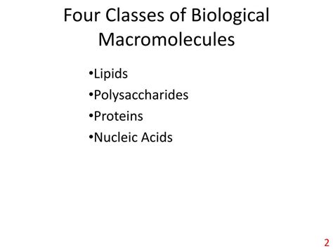 ppt biological macromolecules powerpoint presentation free download