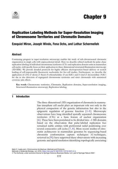 Pdf Replication Labeling Methods For Super Resolution Imaging Of