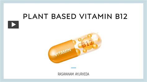Ppt Plant Based Vitamin B12 Powerpoint Presentation Free To