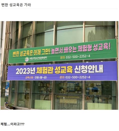 요즘 성교육 레전드  유머 움짤 이슈 에펨코리아