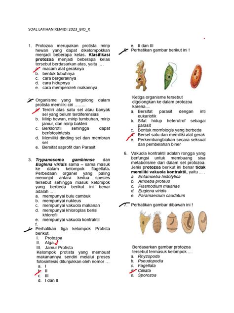 Soal Latihan Protista Dan Ekologi Remake Pdf