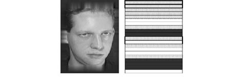 Image And The Contribution Matrix Generated In Experiment Download