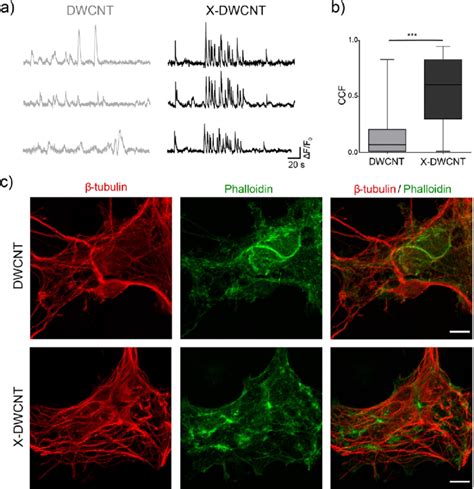 Neuronal Activity Cross Correlation In Networks Supported By 3d Dwcnt