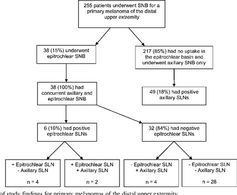 Structure Of Epitrochlear Lymph Node Semantic Scholar