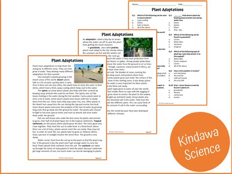 Plant Adaptations Reading Comprehension Passage And Questions Pdf