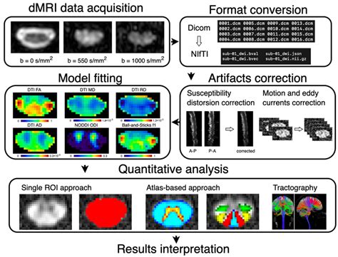 Typical Dmri Workflow Dmri Data Acquisition Is Followed By Format