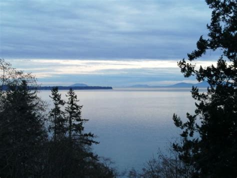 Patti Beer On Linkedin Bluemind Forestbathing Nature