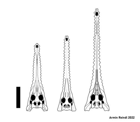 Euthecodon Wikiwand