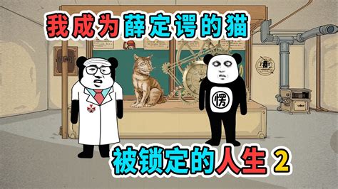 我成为薛定谔的猫，人生概率被锁定，做什么都只有一个固定答案 在下孔二愣 在下孔二愣 哔哩哔哩视频
