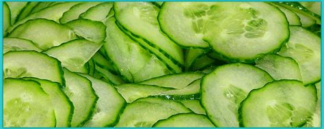 오이 효능 10가지는 네이버 블로그