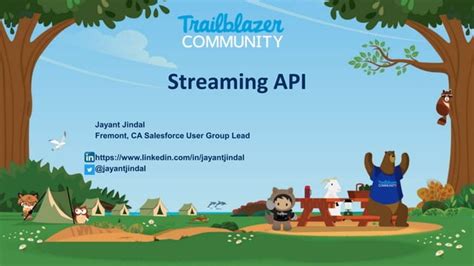 Salesforce Streaming Api Ppt