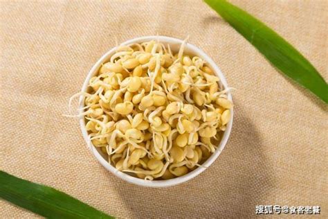 不光海鲜含嘌呤这4种蔬菜也是嘌呤大户尿酸高的人要少吃 6park