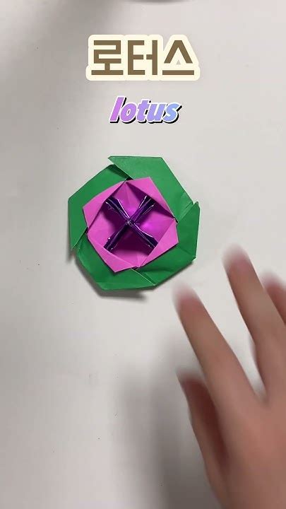 네모아저씨의 페이퍼 블레이드6 히든카드 로터스 Paper Blade Hidden Card Lotus Youtube