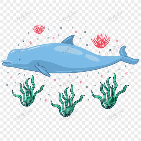 귀여운 바다 물고기 그림 Png 일러스트 무료 다운로드 Lovepik