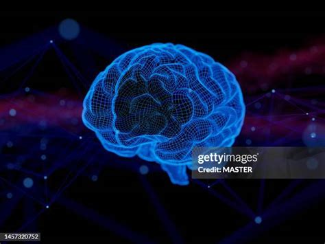 Plexus Data Photos And Premium High Res Pictures Getty Images