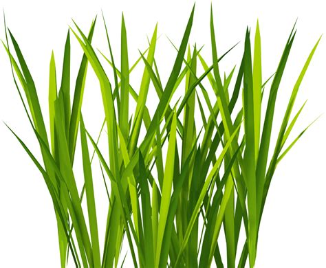 Download 3d Gameready Textures Unity Cartoon Grass Texture Clipart 5783903 Pinclipart