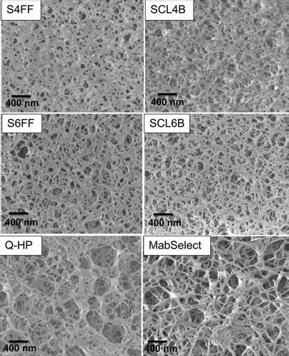 Grade Standard Research And Development Grade Agarose Particles Cd Bioparticle Packaging Size