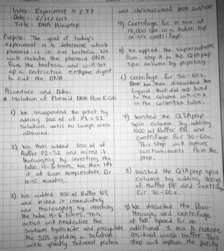 Solved Week 10 Restriction Enzyme Post Lab Questions Chegg Com