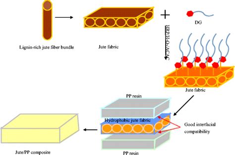 Schematic Illustration Of Hrp Catalyzed Grafting Reaction Of Dodecyl Download Scientific