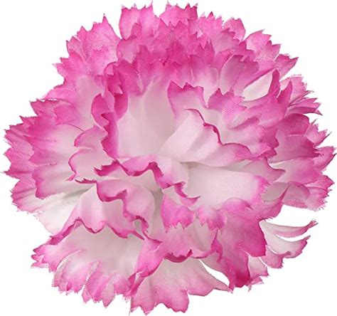 100 Pack White And Pink Carnation Picks 5 Long 35 Wide By Floral