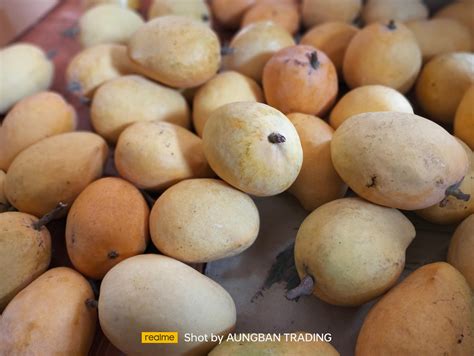 09 05 2024 ရှမ်းပြည်တောင်ပိုင်း၊ အောင်ပန်းမြို့ကုန်စည်ရောင်းဈေးများ 🥜🌽🥕🌽🍒🍑🥝🍓🍇🍈🍒🍑🍍 ကုန်စိမ်းများ