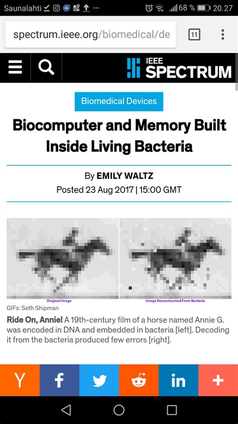 biocomputer and memory built inside living bacteria ieee spectrum