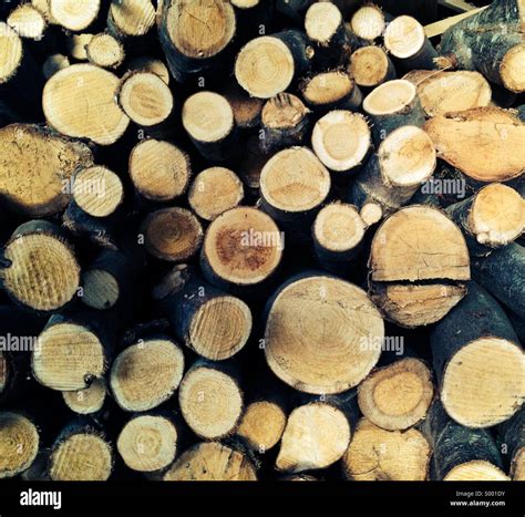 Logs Hi Res Stock Photography And Images Alamy