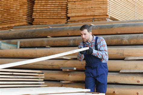 Timber Harvesting For Construction Carpenter Stacks Boards Industrial