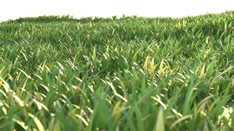 3d Model Stylized Grass Pack 01 Vr Ar Low Poly Cgtrader