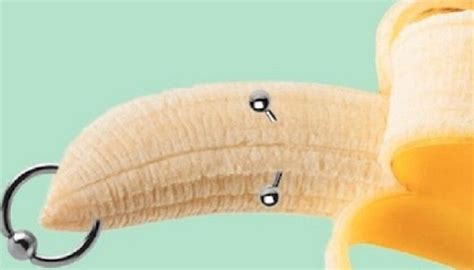 Lorigine Du Piercing Prince Albert Histoire Et Curiosités Derrière Le Nom