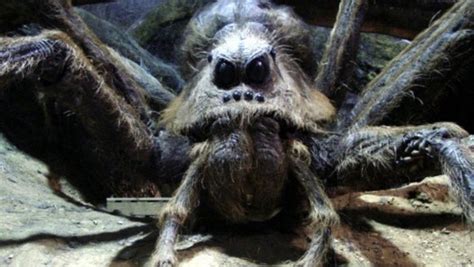 Harry Potter 10 Scenes Actors Hated Filming Page 8