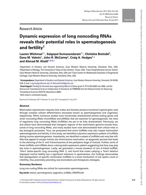 Dynamic Expression Of Long Noncoding Rnas Reveals Their Potential Roles In Spermatogenesis And