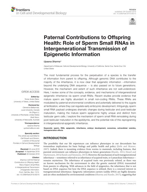 Pdf Paternal Contributions To Offspring Health Role Of Sperm Small Rnas In Intergenerational