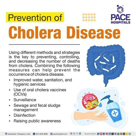 Vibrio Cholerae Treatment Cholera Causes Treatment And Prevention