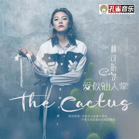 不是因为寂寞才想你 Youtube Music