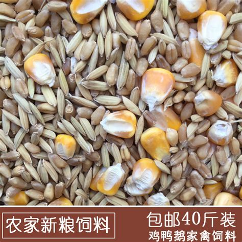 农家新粮稻谷小麦玉米籽鸽子鸡鸭鸟宠物饲料鸟食江浙沪皖40斤包邮 虎窝淘