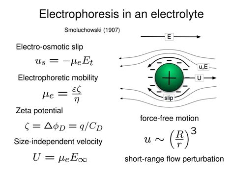 Ppt Induced Charge Electrokinetic Phenomena Powerpoint Presentation Free Download Id357703