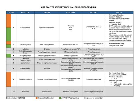Solution Biochemistry Carbohydrate Metabolism Gluconeogenesis
