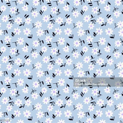 작은 데이지 꽃으로 만든 매끄러운 패턴 Ditsy 초원 장식 꽃 여름 배경입니다 패턴에 대한 스톡 벡터 아트 및 기타 이미지 패턴 꽃무늬 꽃 식물 Istock