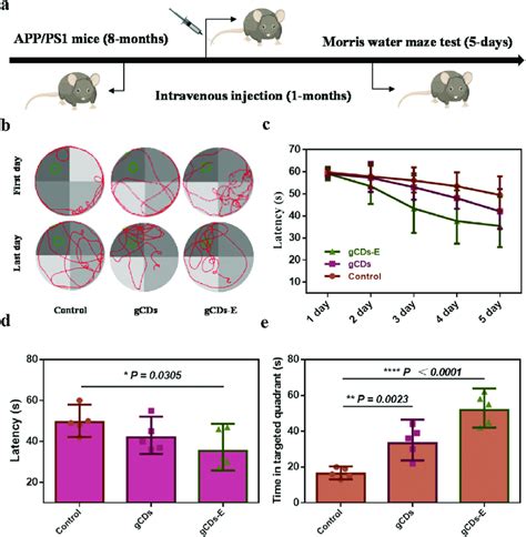 A Time Schedule Of The Experimental Procedure For App Ps1 Mice B