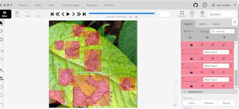 Do Bounding Box Polygon Tagging Annotation For Ml And Ai By Arafath Hossain Fiverr