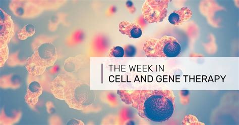 Cell Therapy Weekly Ncardia Launches Ipsc Based Cell Therapy