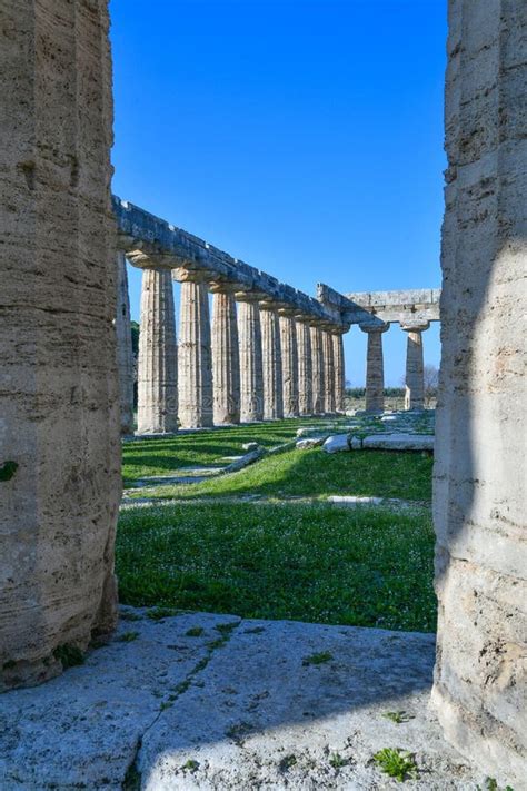 Los Templos De Paestum Italy Foto Editorial Imagen De Arte Historia