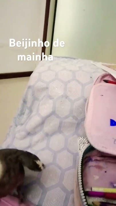 Beijo Pra Mamãe Youtube