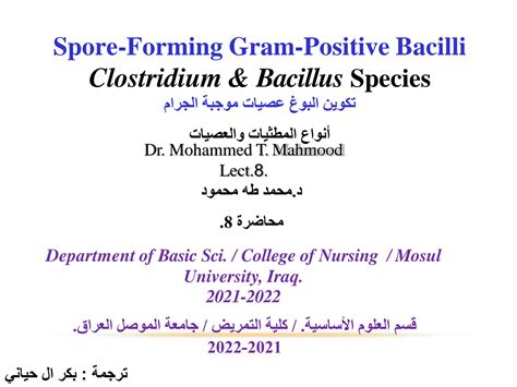 SOLUTION Bacterias Anaer Bicas Clostridium Clostridium Y Bacillus