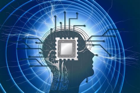 human brain is naturally wired to perform advanced calculations new