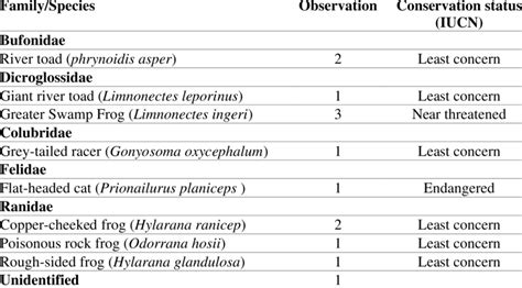 Species Of Amphibians Reptiles And Mammals Recorded During Night