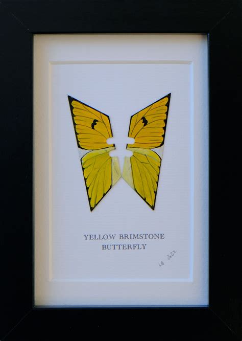 Yellow Brimstone By Lene Bladbjerg The Art Agency